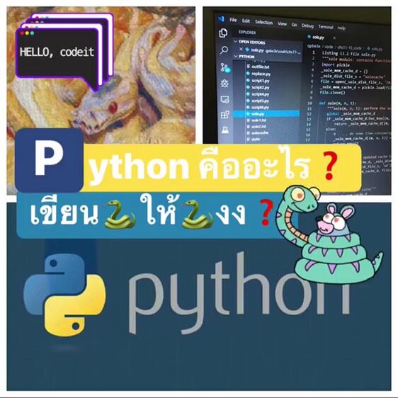 Python คืออะไร? - ⌨️ Programming - อิเล็กอีซี่(Eleceasy)